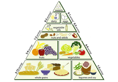 Het belang van een voedingsschema - Krachttraining.info