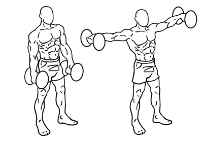 Dumbbell side raises - Krachttraining.info