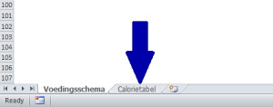 Voedingsschema Excel sheet (gratis download!) - Krachttraining.info